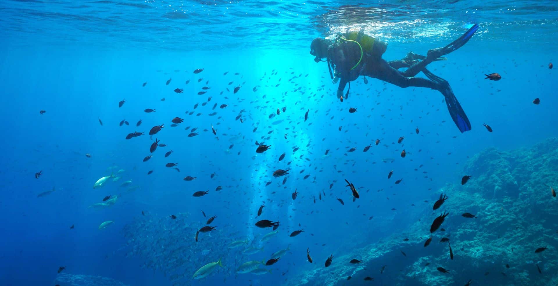 Diving club at La Plage du Dramont campsite